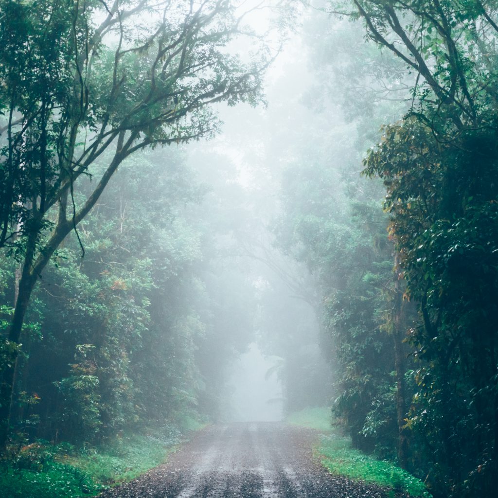 Back to Nature | The Tweed