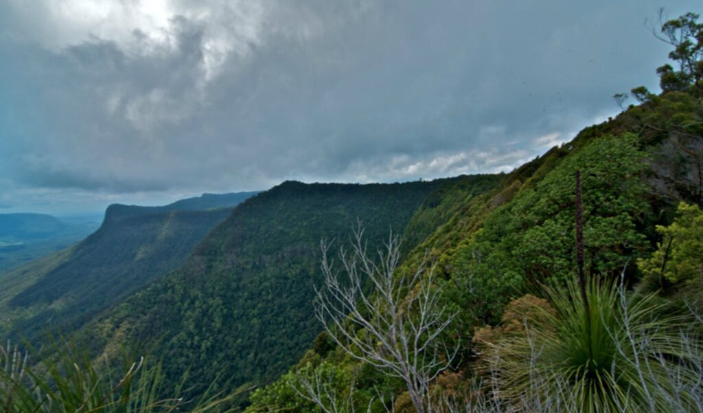 Pinnacle Walk and Lookout | The Tweed