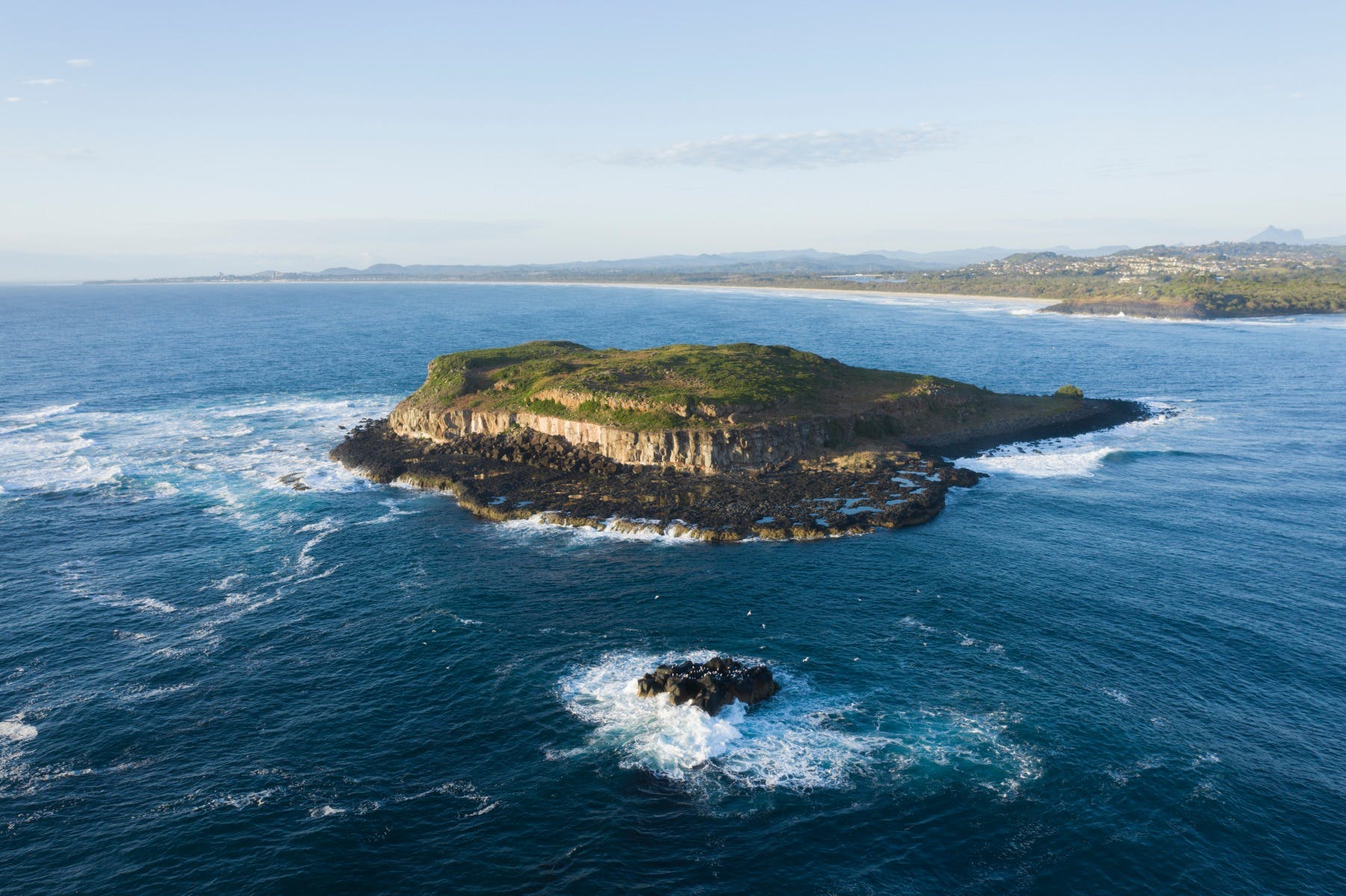 Cook Island Aquatic Reserve | The Tweed