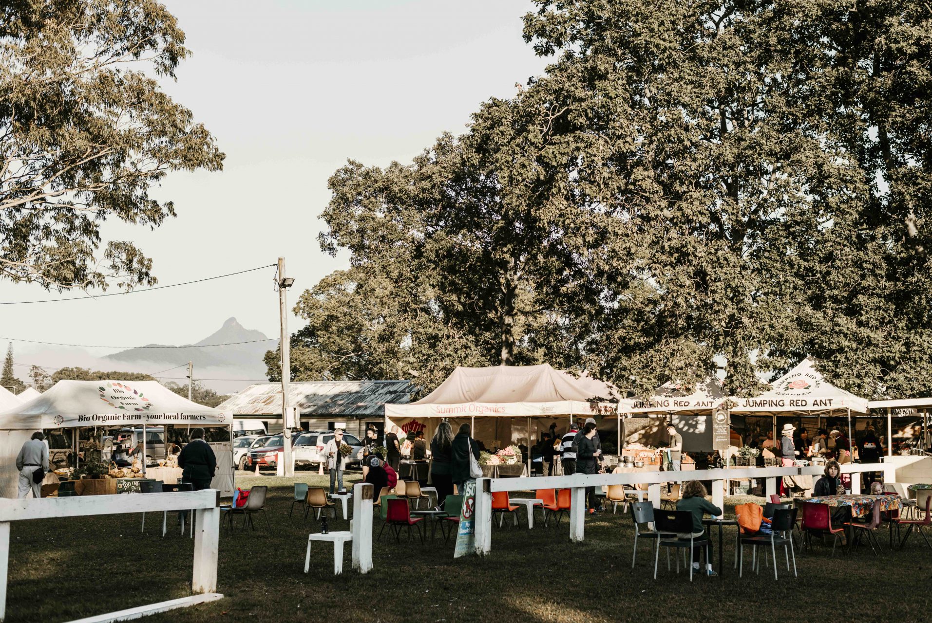 Local Farmers Markets To Visit This Week | The Tweed