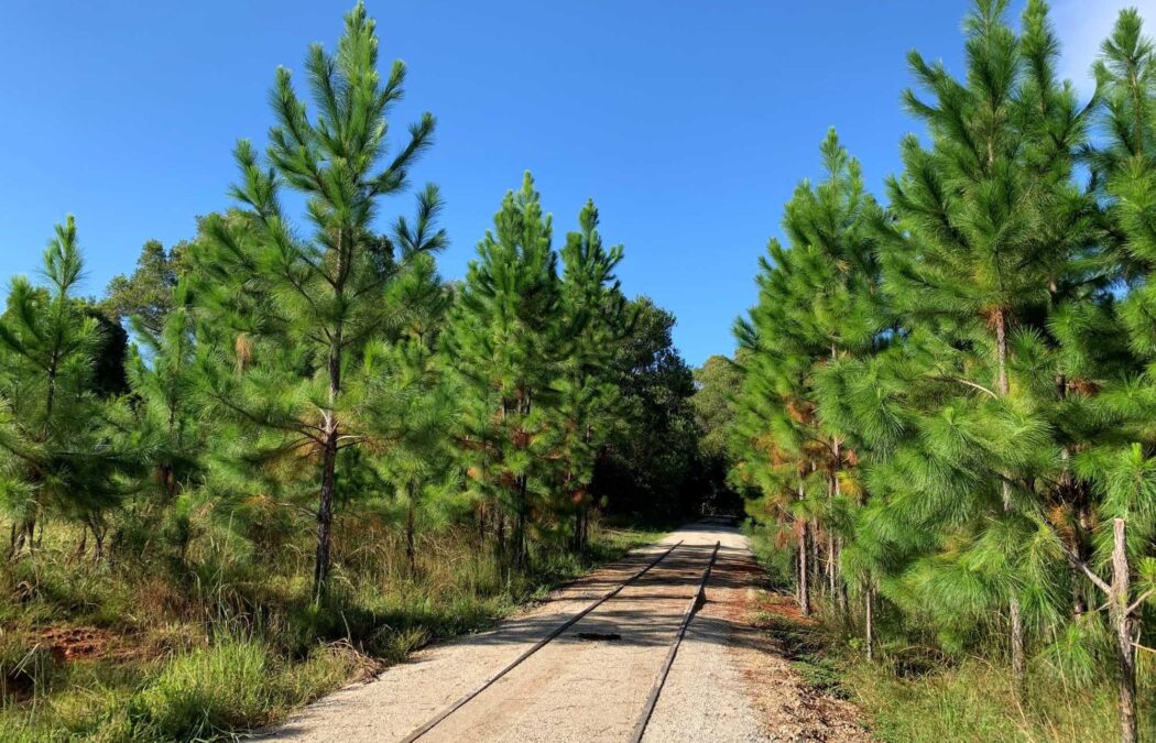 Northern Rivers Rail Trail | Tweed Tourism