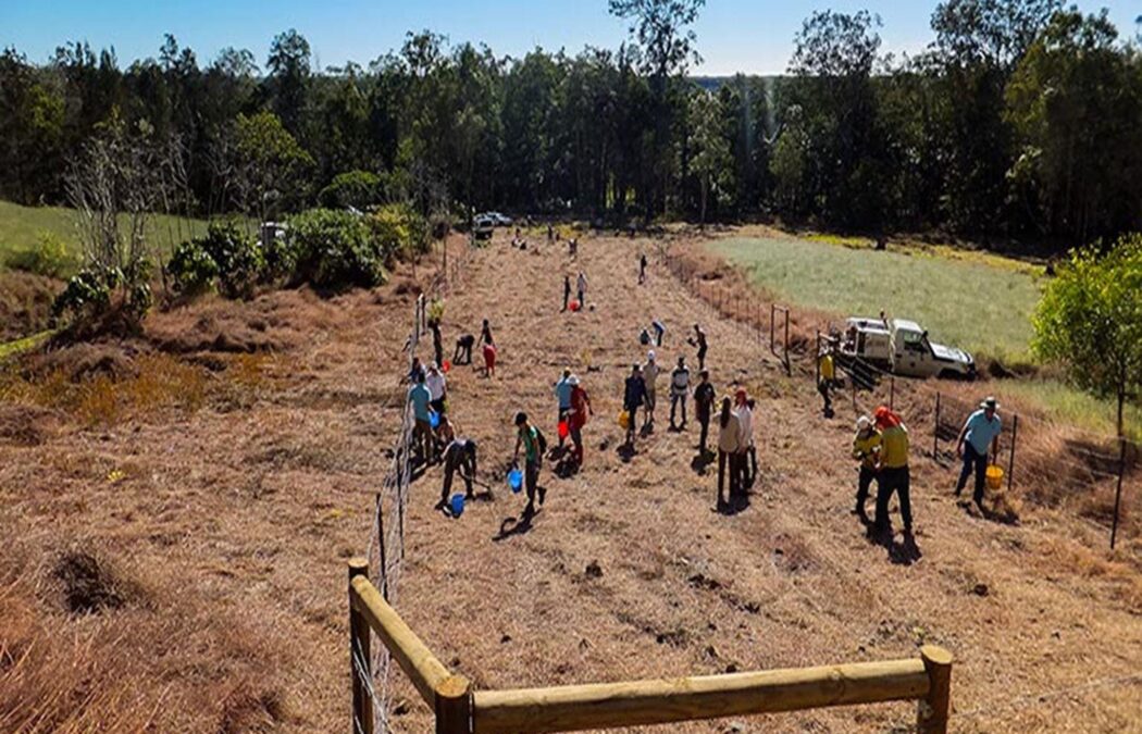Cudgen Nature Reserve | Tweed Tourism