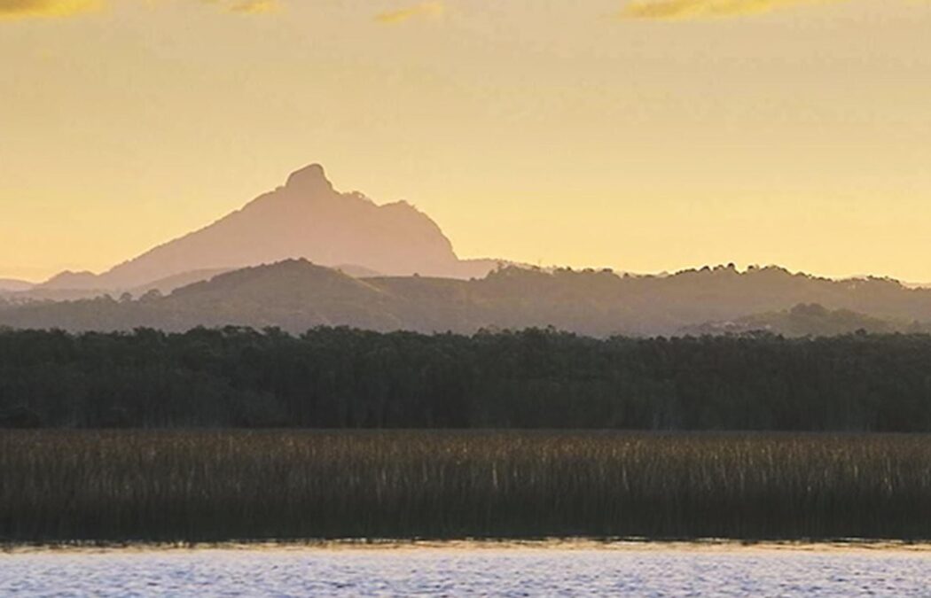 Cudgen Nature Reserve | Tweed Tourism