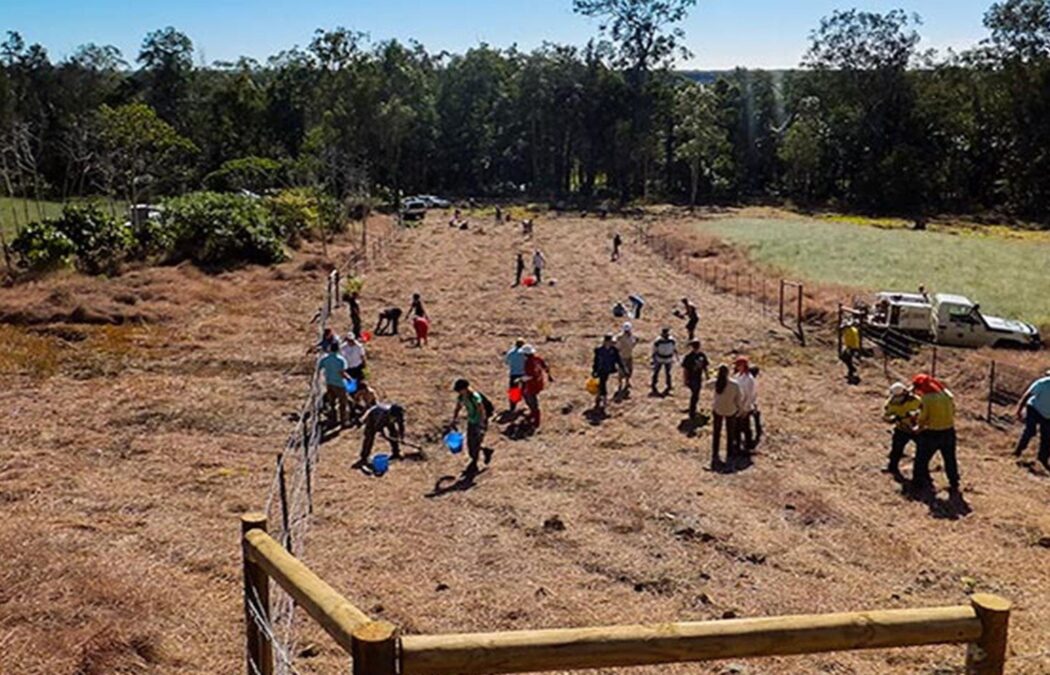 Cudgen Nature Reserve | Tweed Tourism