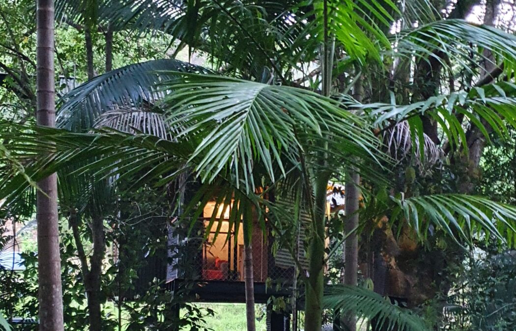 Crystal Creek Rainforest Treehouse | Tweed Tourism
