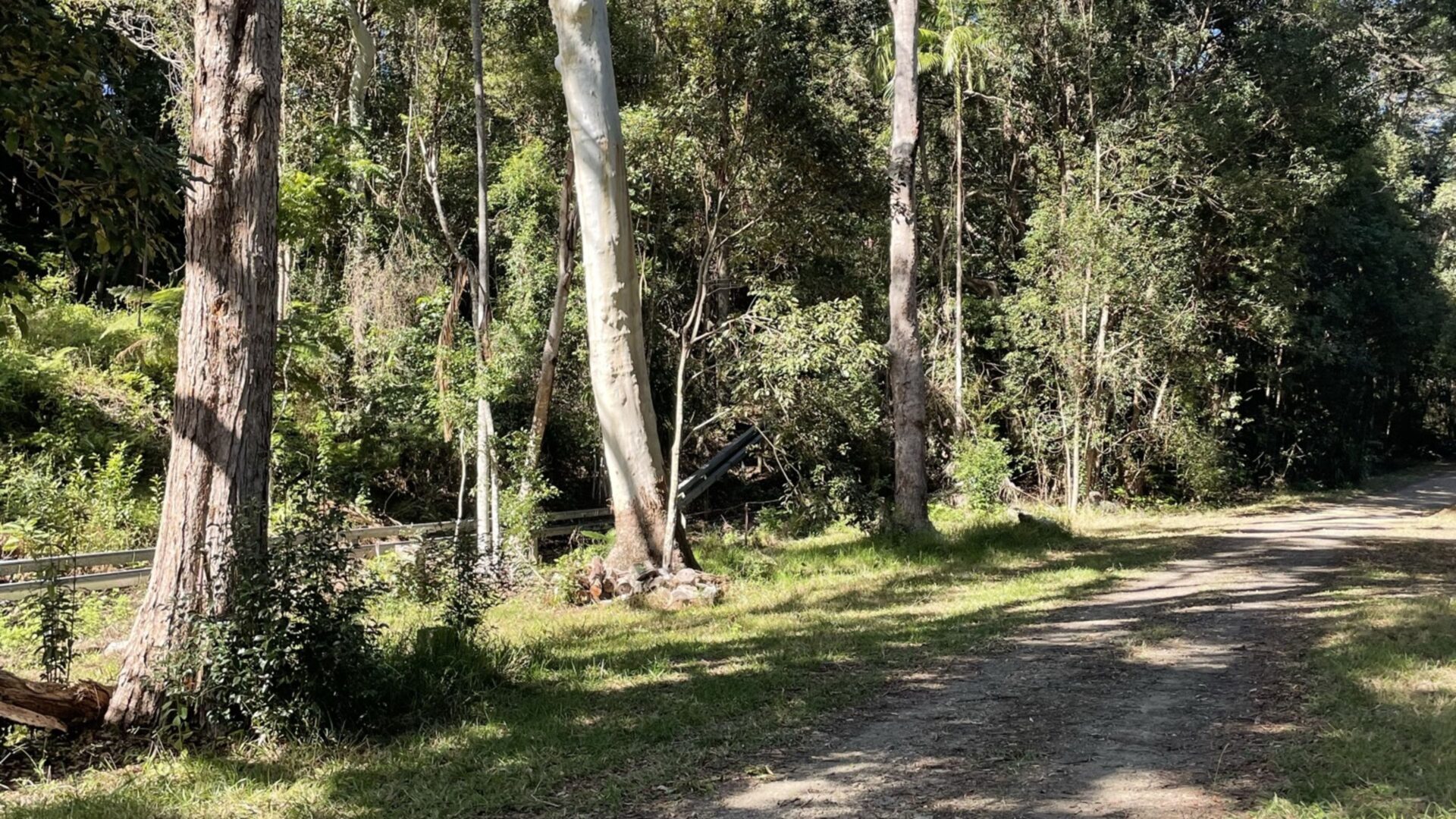 Mooball Amaroo | The Tweed