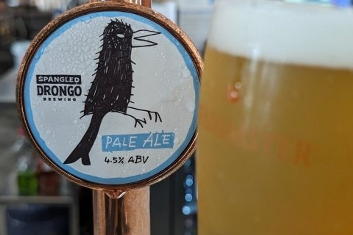 Business After Hours hosted by Spangled Drongo Brewery | The Tweed